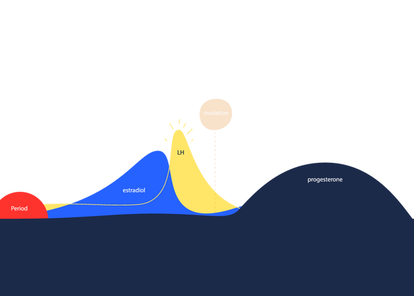 The Luteinizing Hormone (LH) Surge: Am I Ovulating?