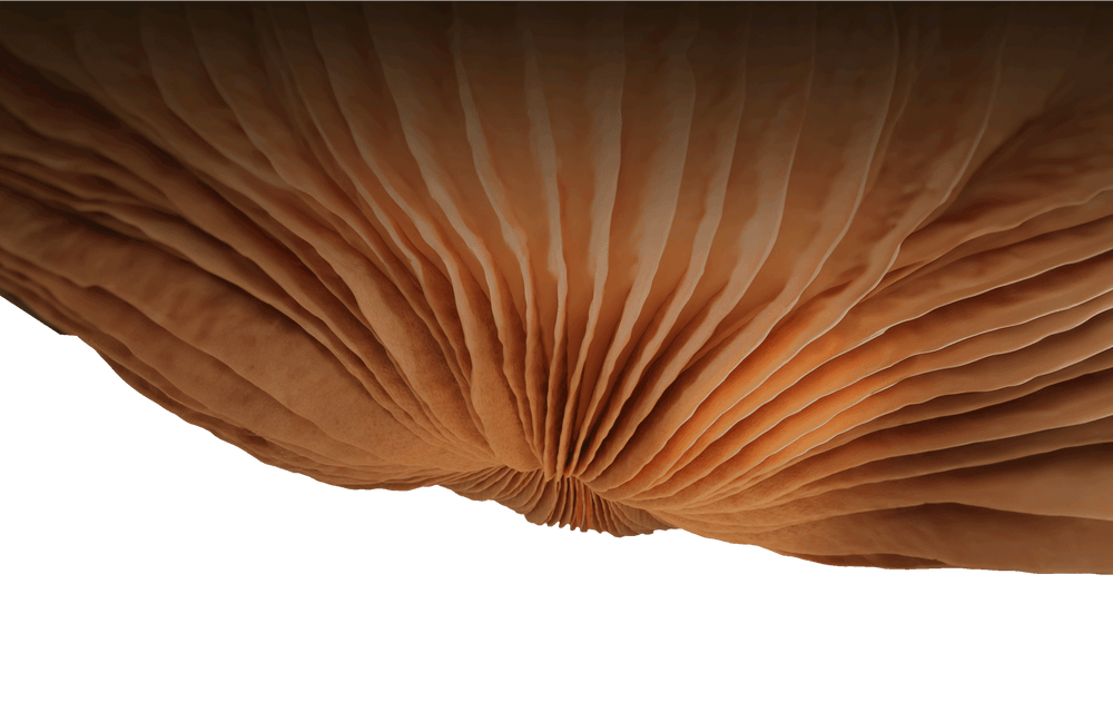 inne | Hormone-free contraception - CE-certified